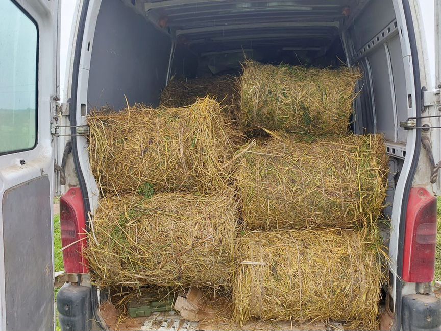 Продам сено в рулонах