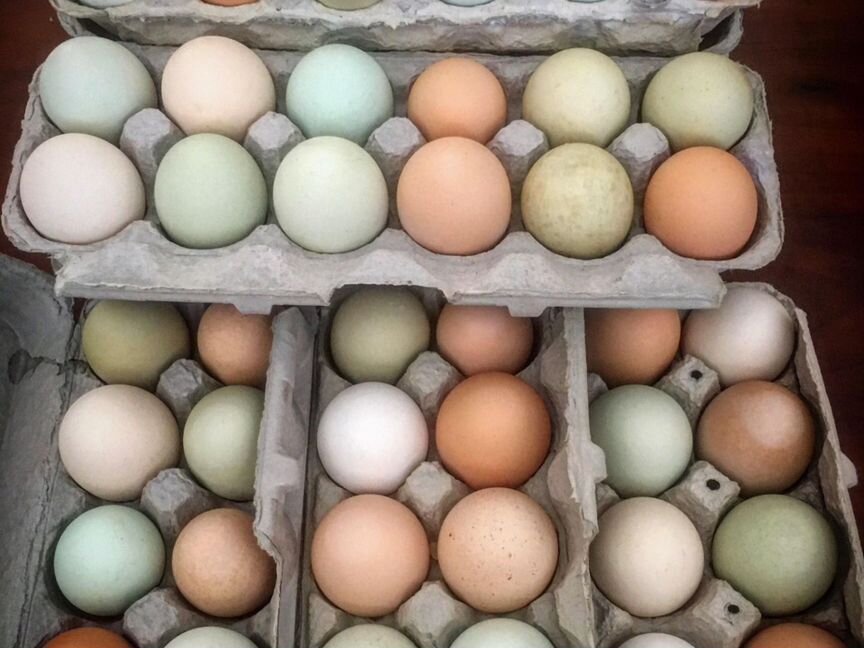 Яйца никубационое куриное