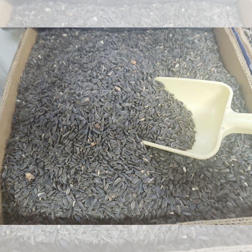 Семечек для птичка