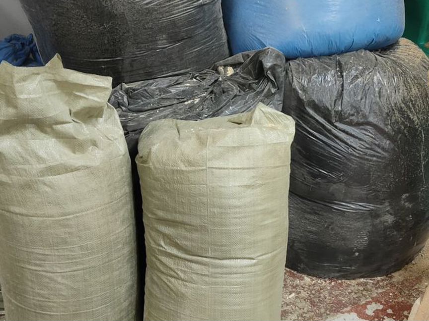 Отдам бесплатно опилки