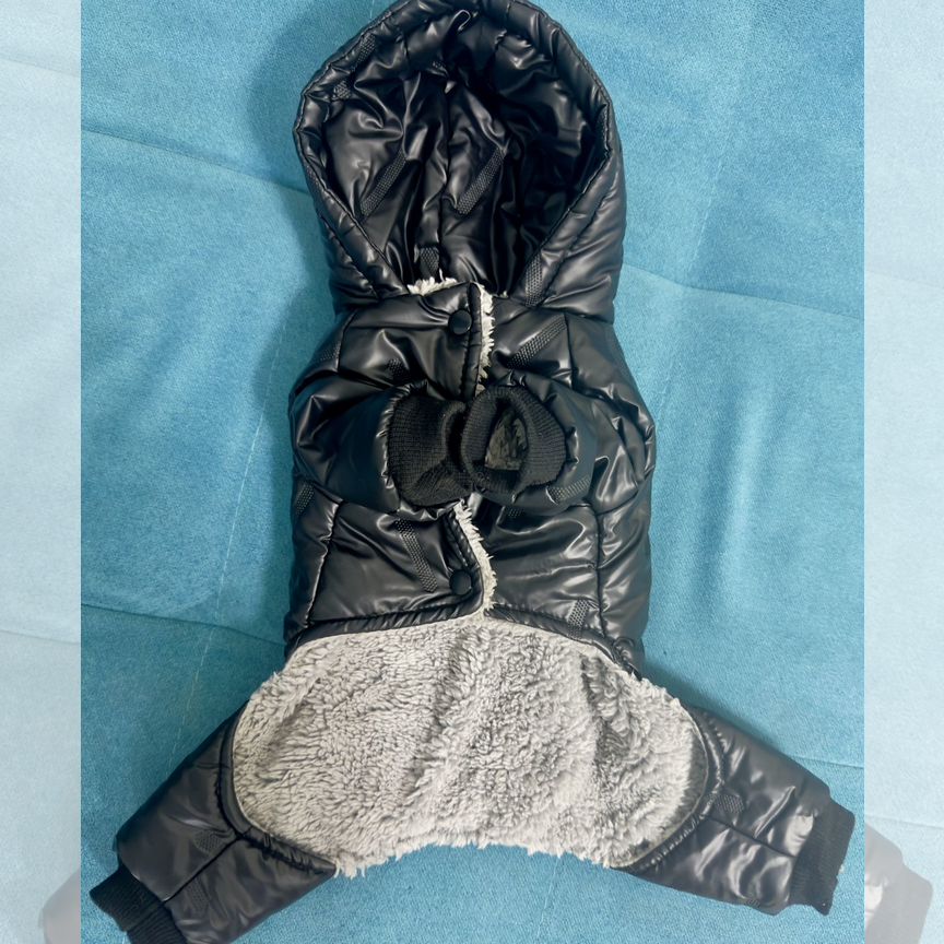 Одежда для собак