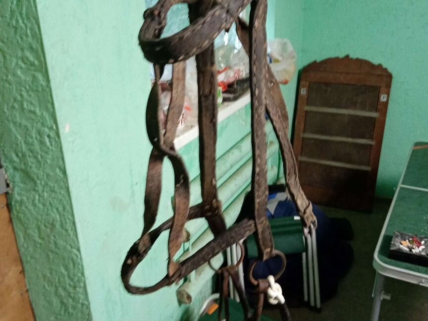 Уздечка, Упряж для лошади