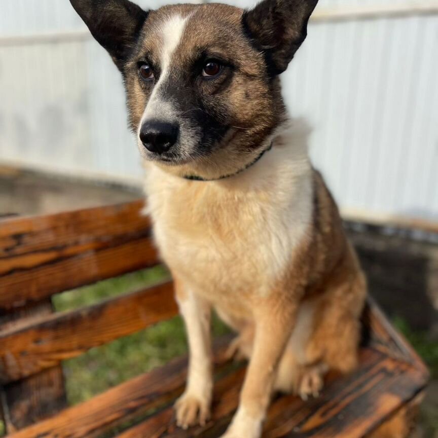 Мальчик 12 кг