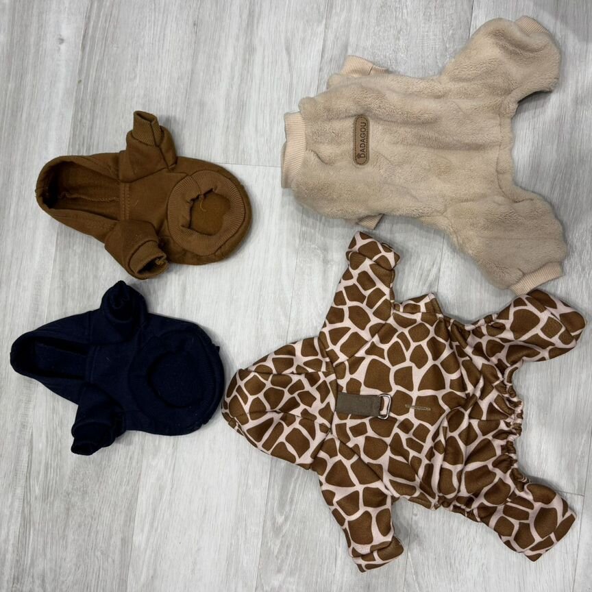 Одежда для собак мелких пород