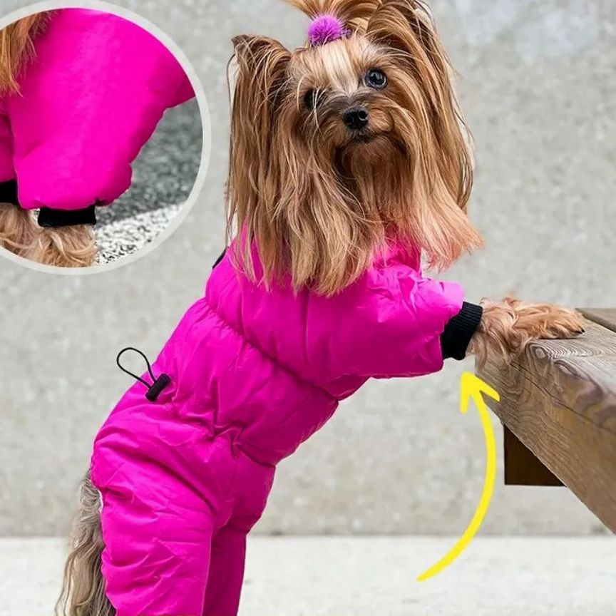 Комбинезон для маленькой собаки s