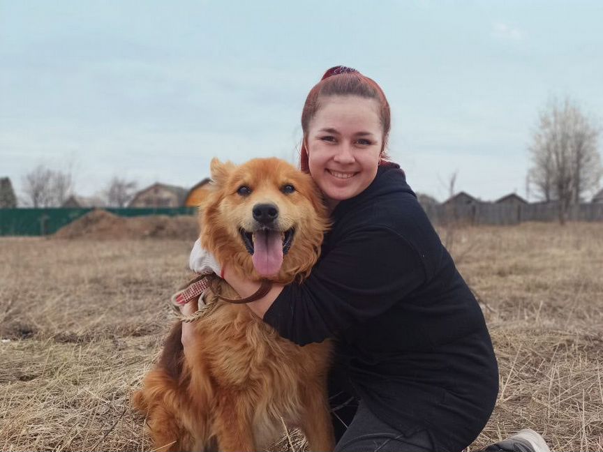 Огромной души Пёс