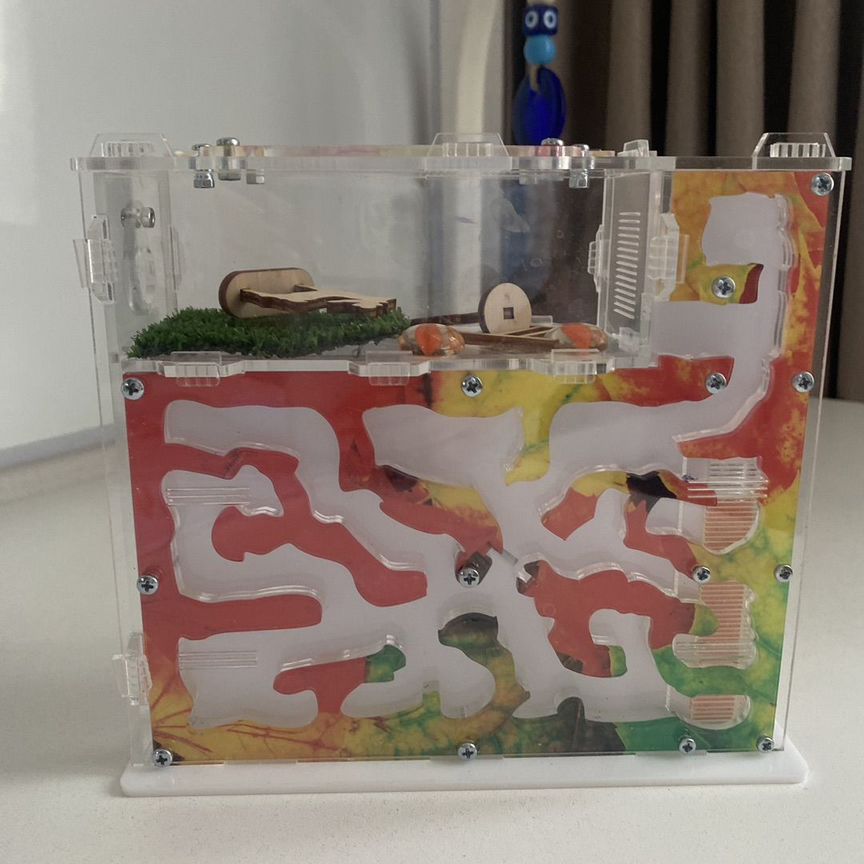 Муравейник