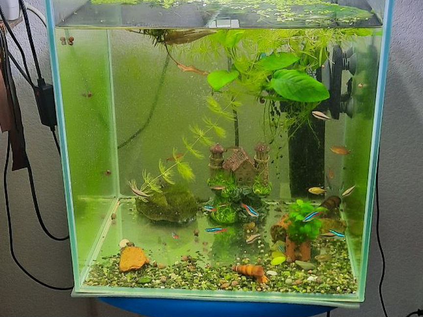 Аквариум с лампой и фильтром - aquael