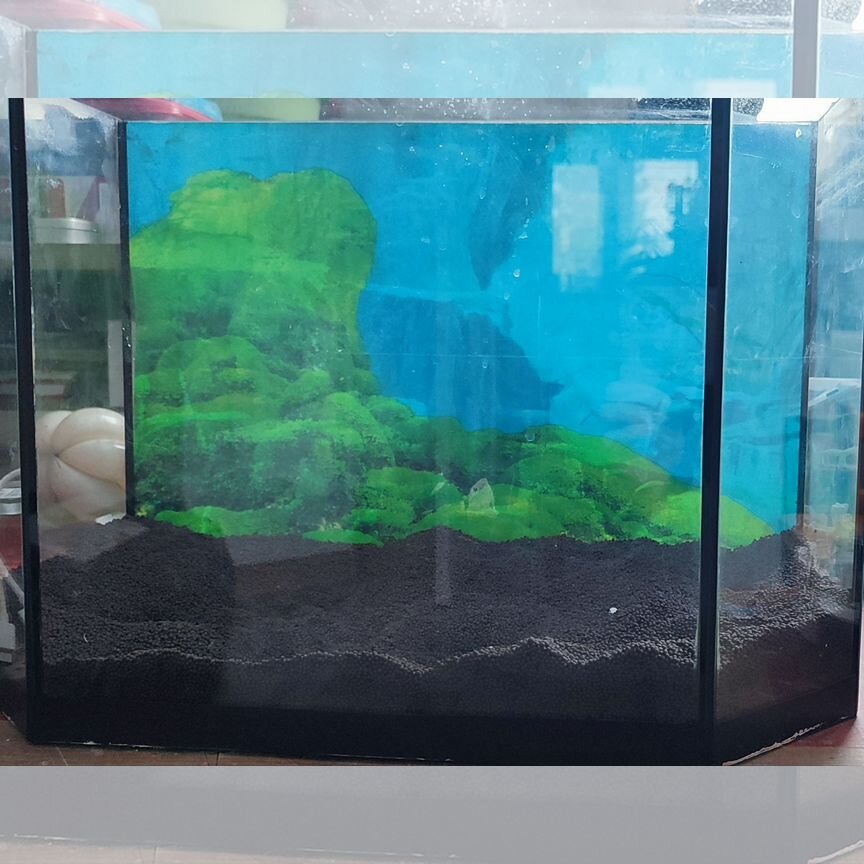 Аквариум 25-30 литров