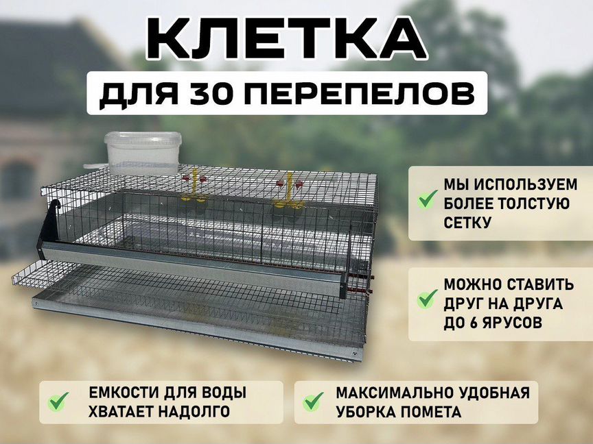 Клетка для 30 перепелов