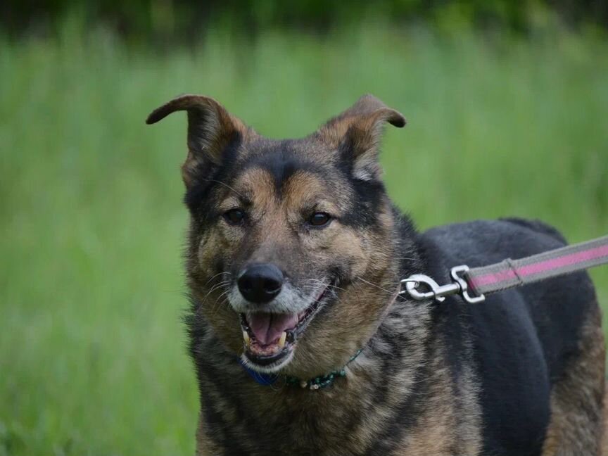 Старичок Гарик хочет обрести семью