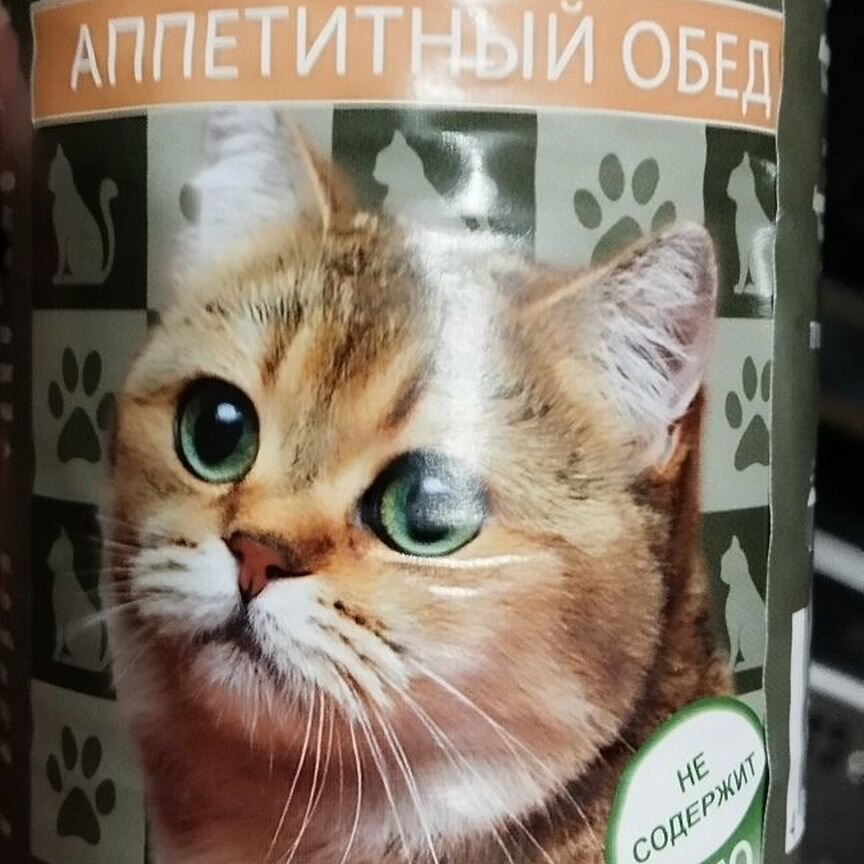 Влажный корм для кошек