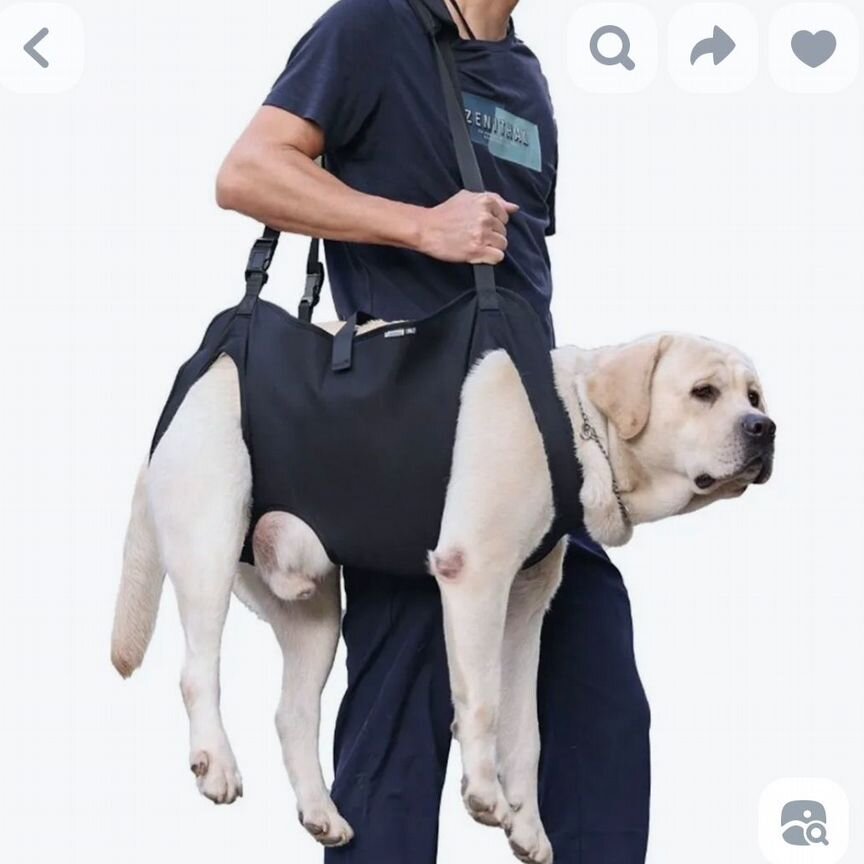 Переноска для больших собак