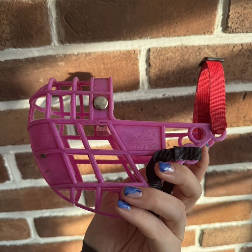 Намордник для собак