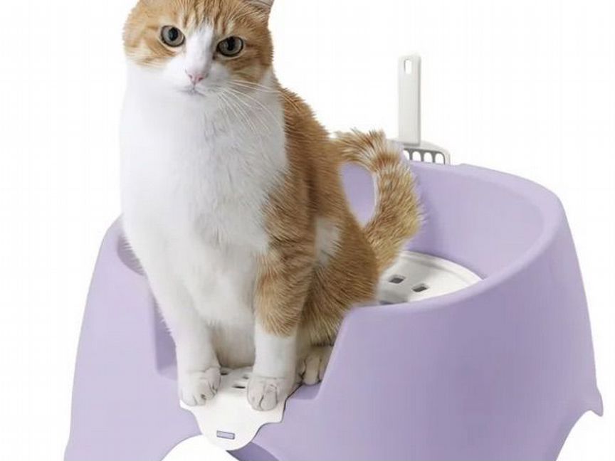 Японский туалет для кошек richel
