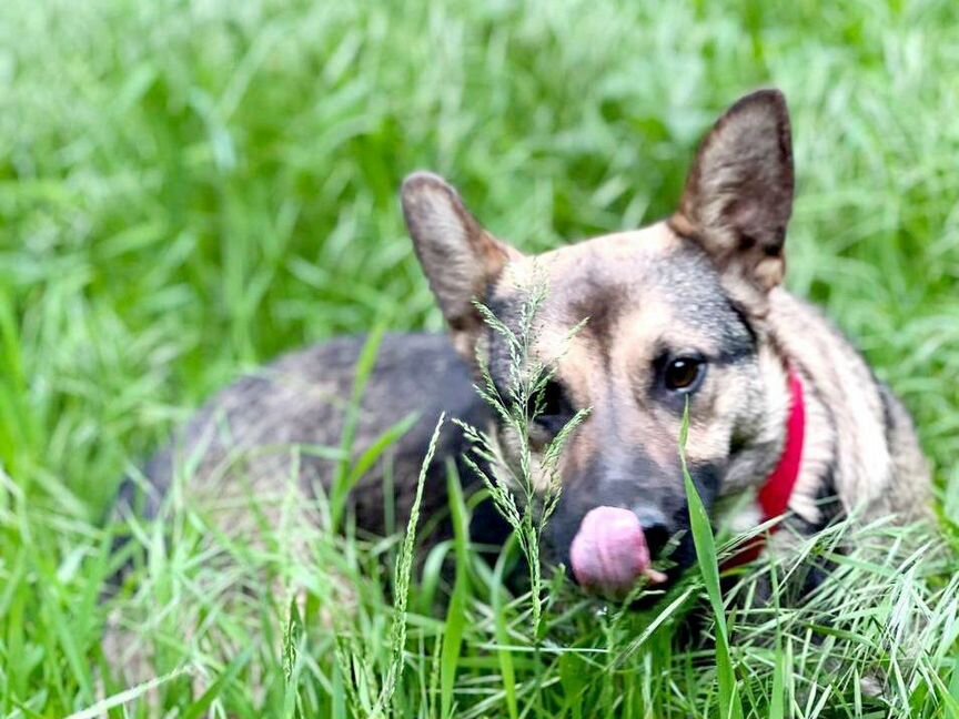 Прекрасная девочка ищет свою семью