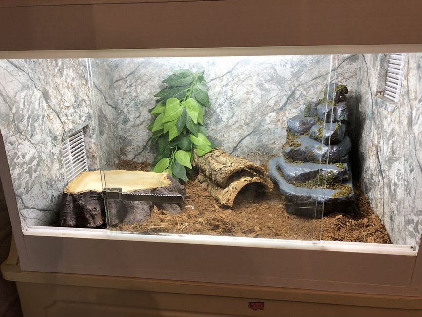 Террариум для змеи