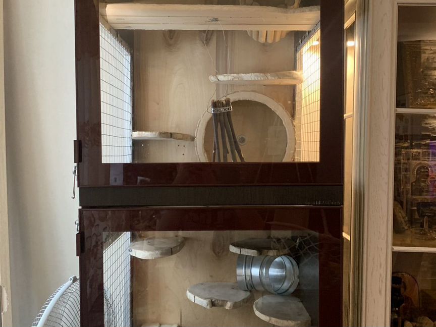 Клетка витрина для шиншиллы и дегу