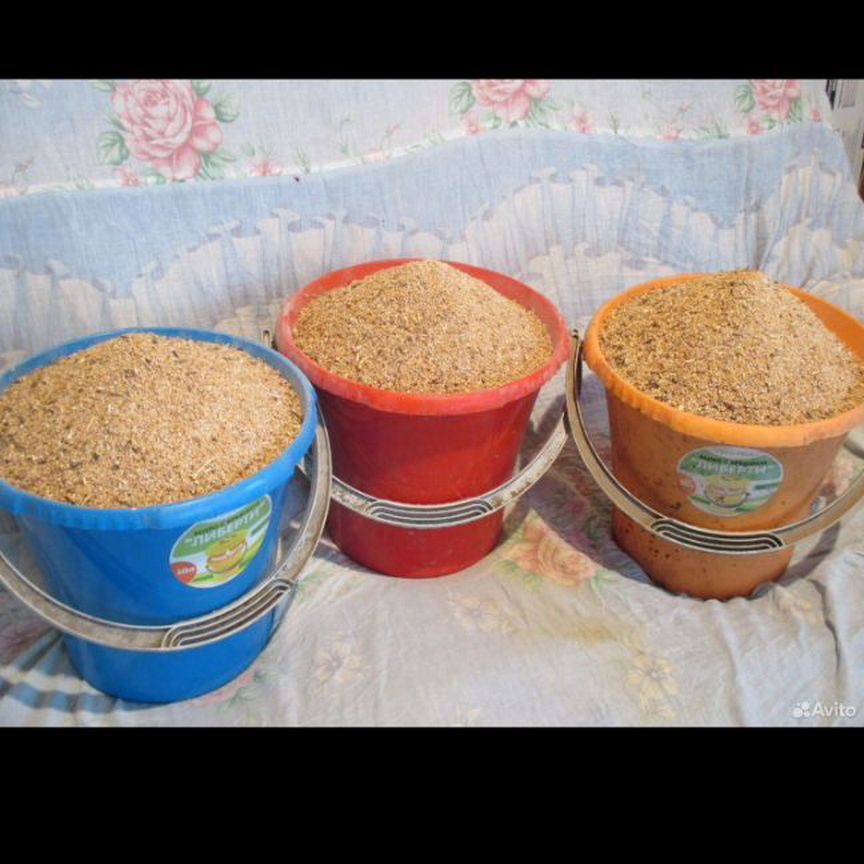 Продам зерно пшеницы