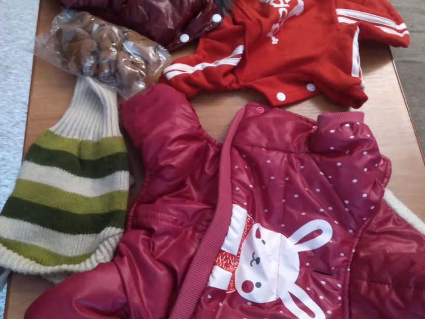 Товары для животных собак