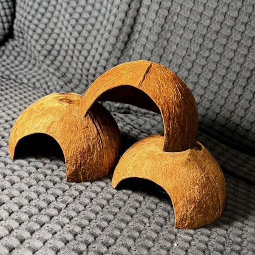 Укрытие для рептилий