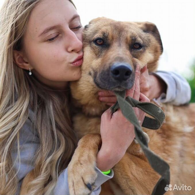 Нежнятина Кози из приюта ищет мам и пап