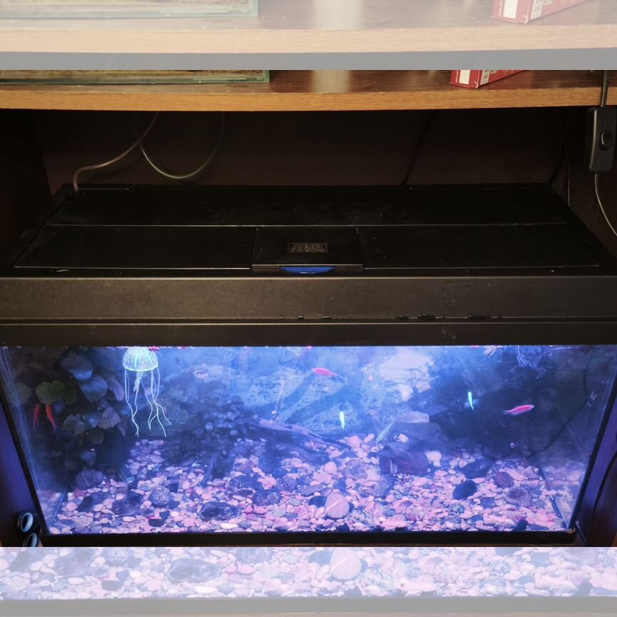 Аквариум с рыбками