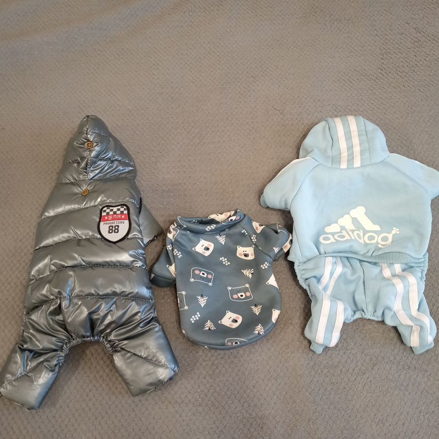 Одежда для собак мелких пород