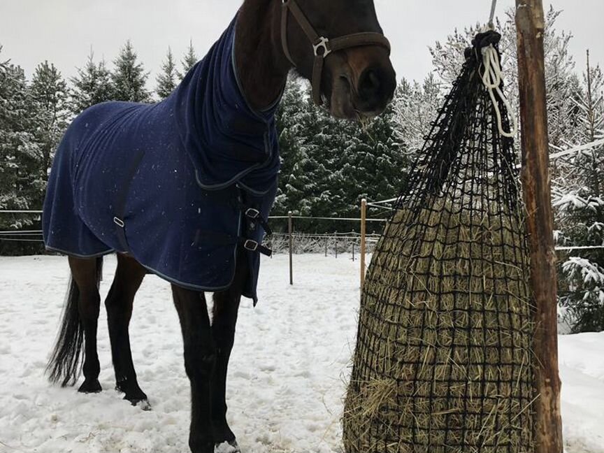 Рептух для сена медленная кормушка для лошади