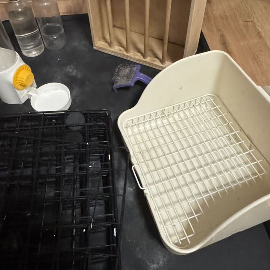 Набор для грызунов