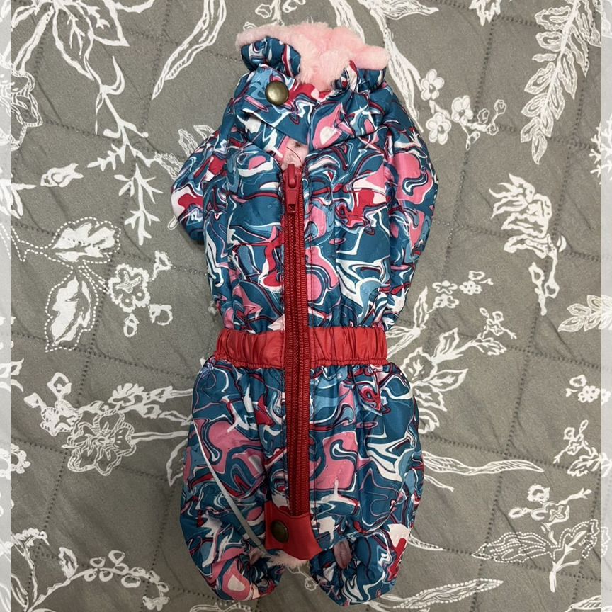 Шубка для той терьера