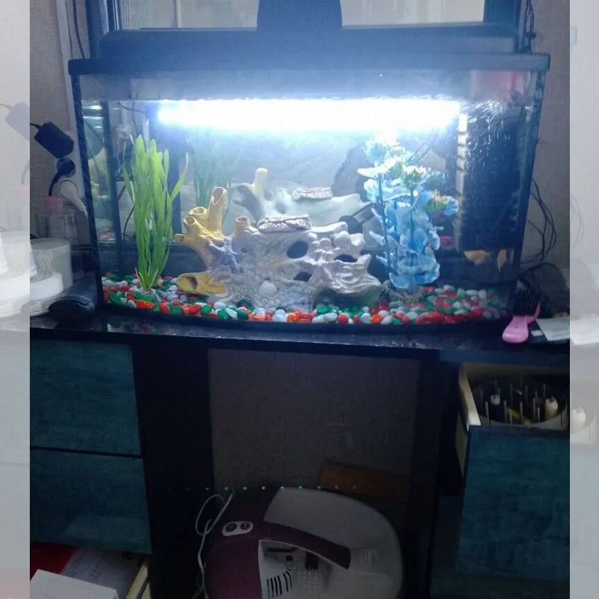 Аквариум с рыбками 50 литров