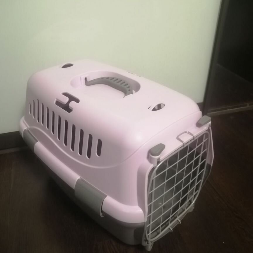 Переноска для кошек аренда