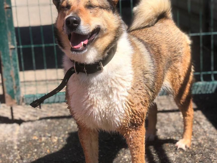 Неповторимая девочка хочет уехать из приюта