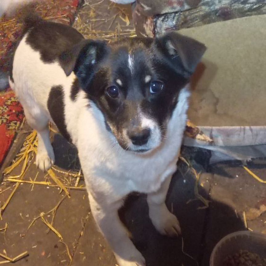 Жду свои любящие ручки