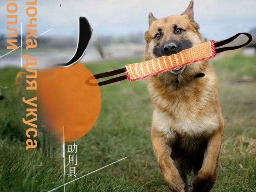 Ухват для собаки. Игрушка для собаки