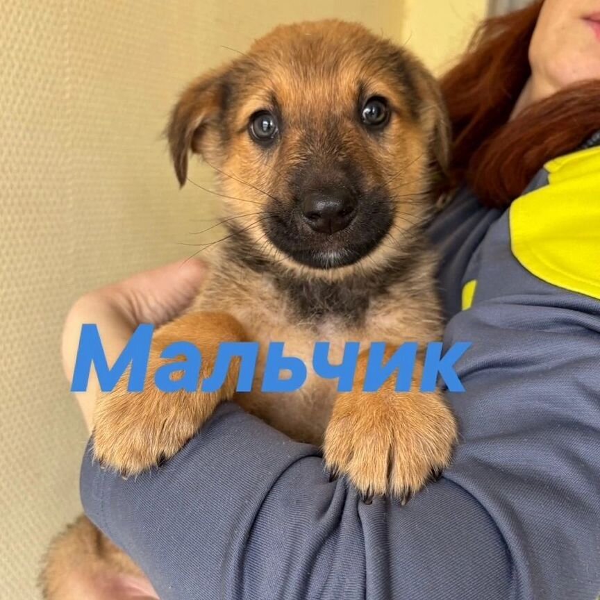 Малыши спасены из сугроба
