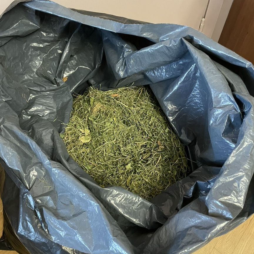 Сено для свинки или кролика