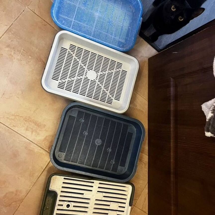 Кошачие лотки