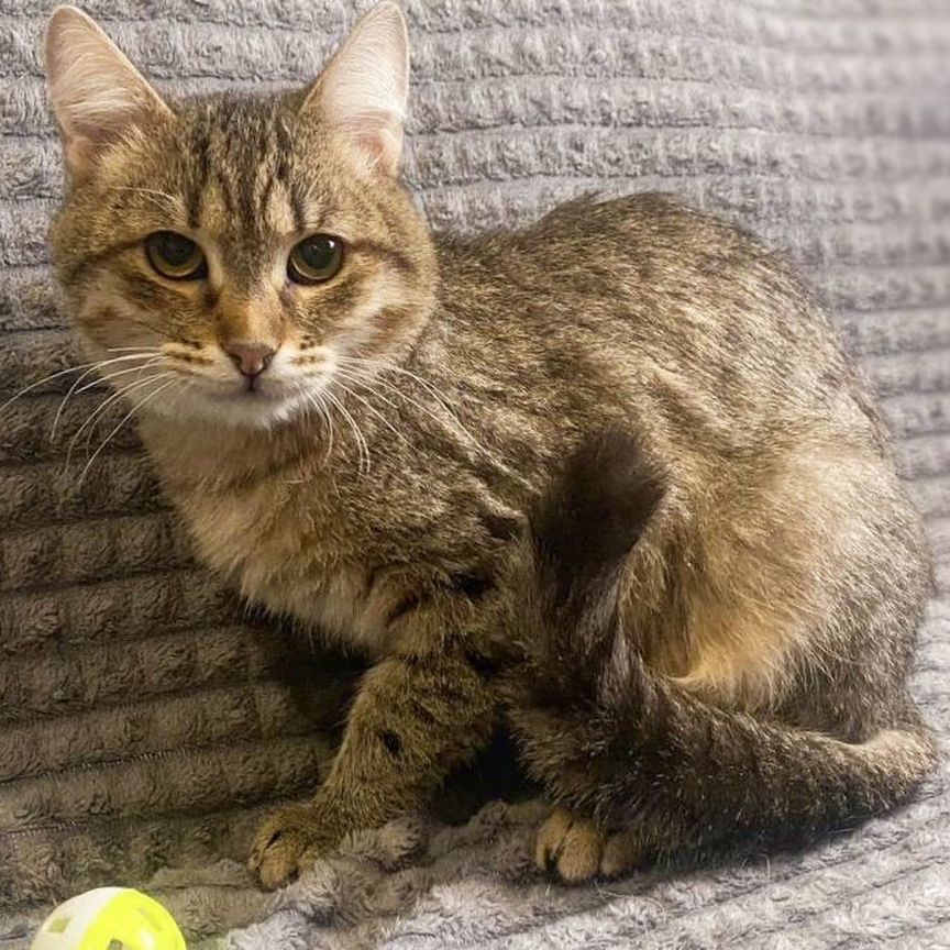 Плакал и бежал за людьми