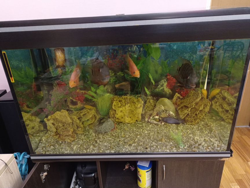 Аквариум с тумбой 300 литров