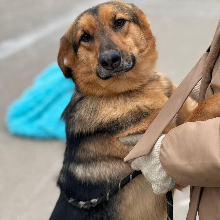 Прекрасная Флора ищет дом