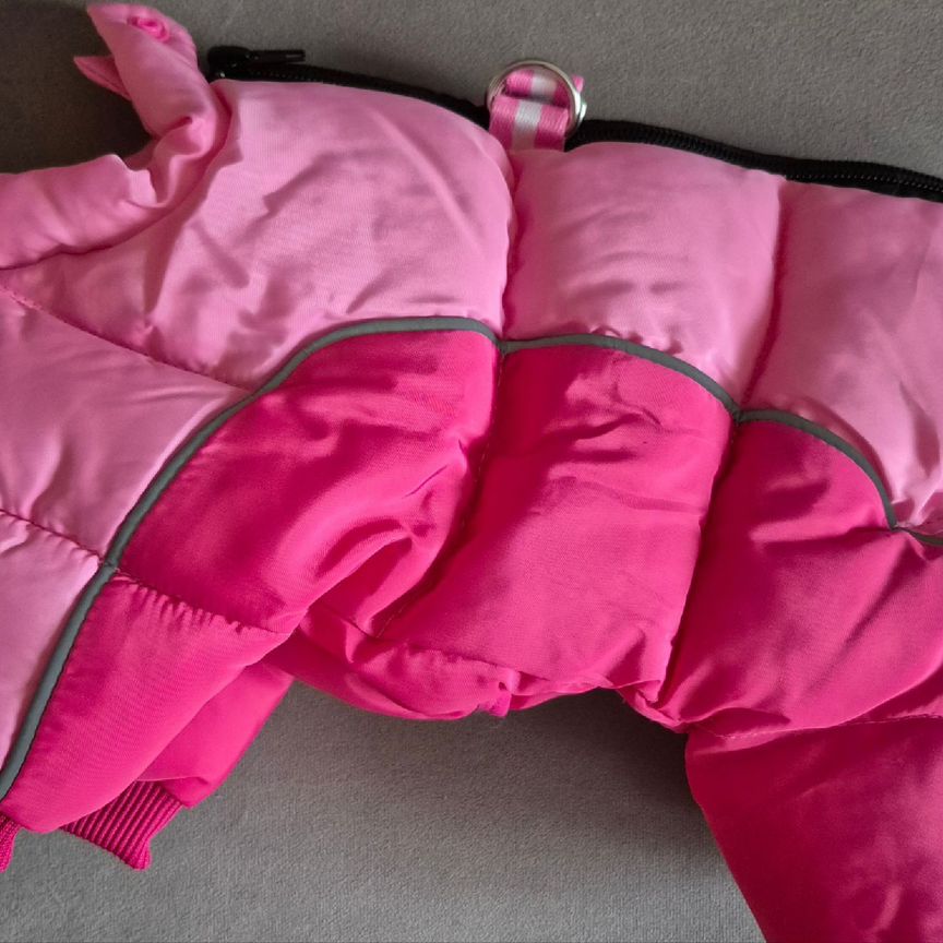 Одежда для собак мелких пород