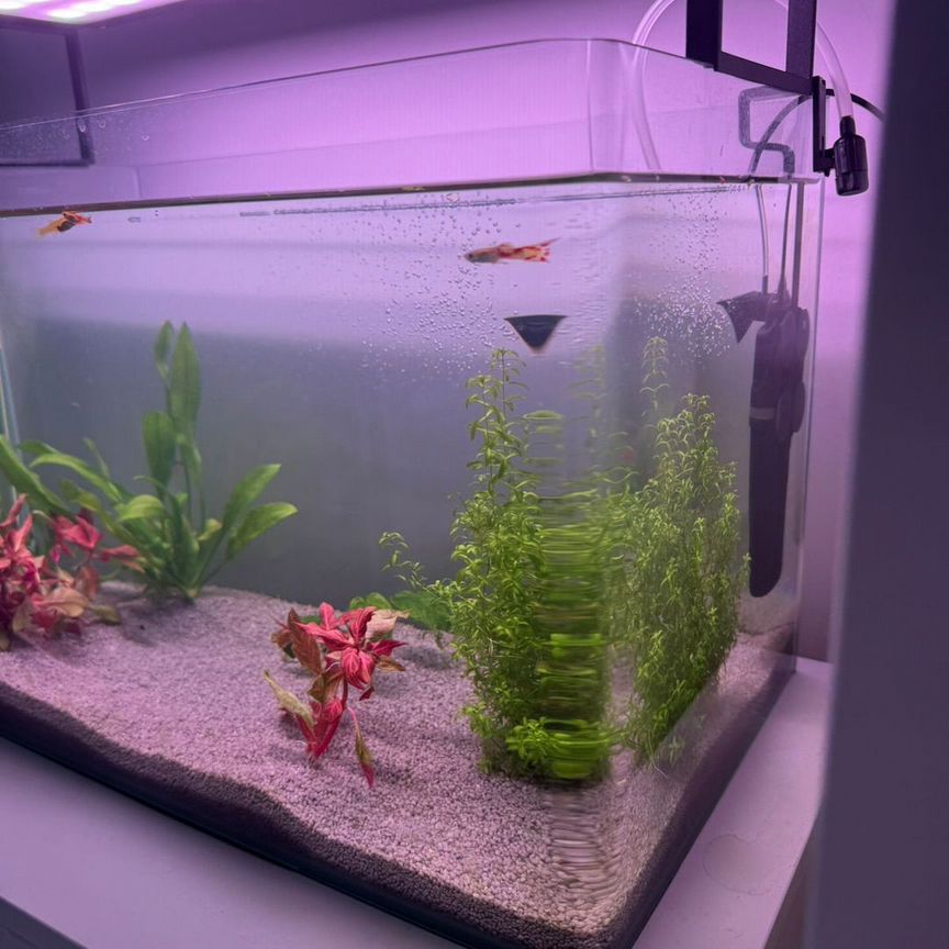 Продам аквариум