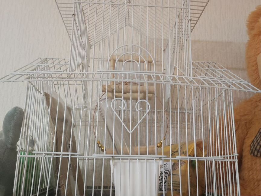 Клетка для попугая и другие принадлежности