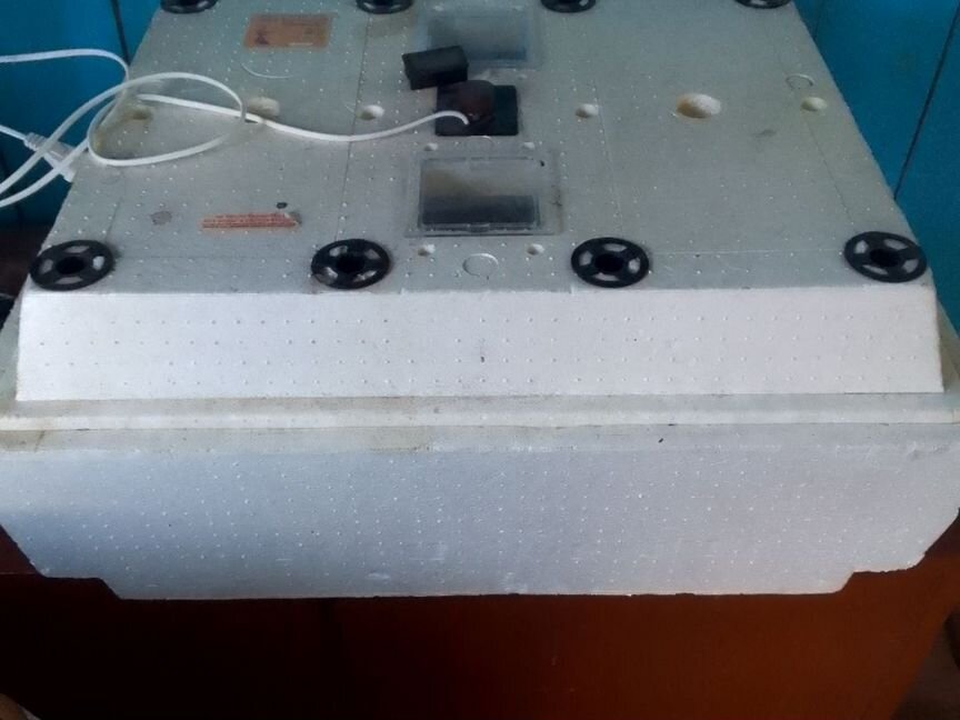 Инкубатор " золушка"