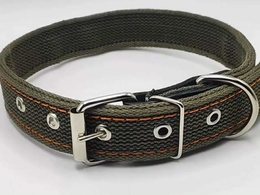 Ошейник, поводок для собак в подарок антистресс