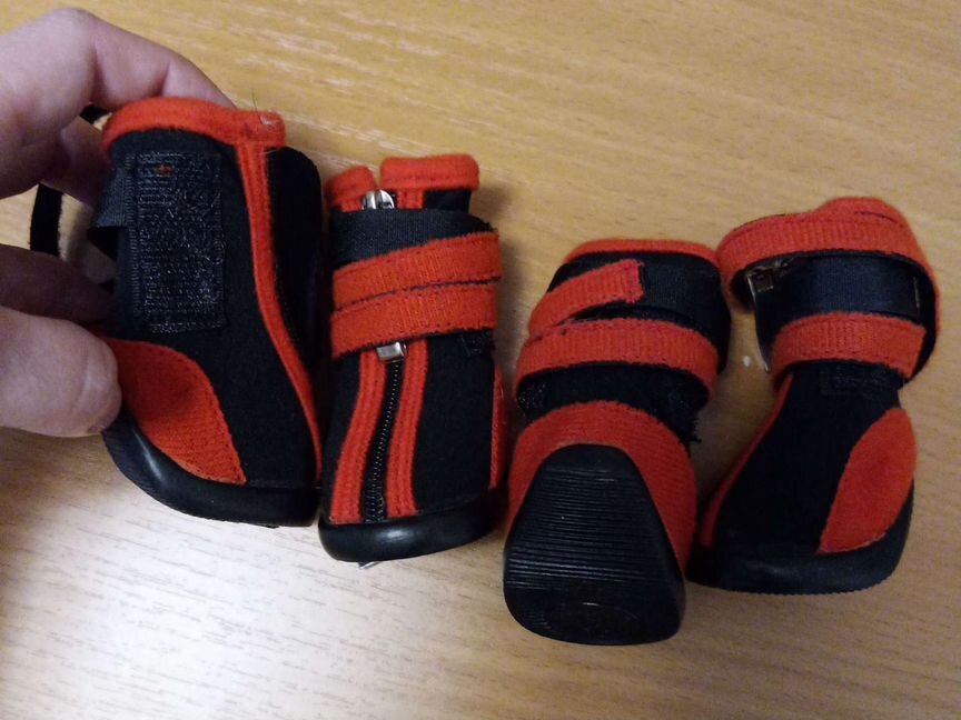 Сапожки для маленькой собаки, щенка