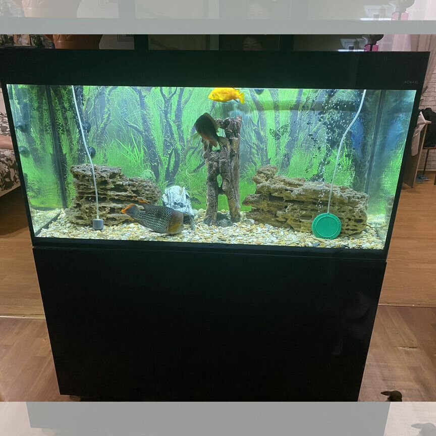 Аквариум aquael