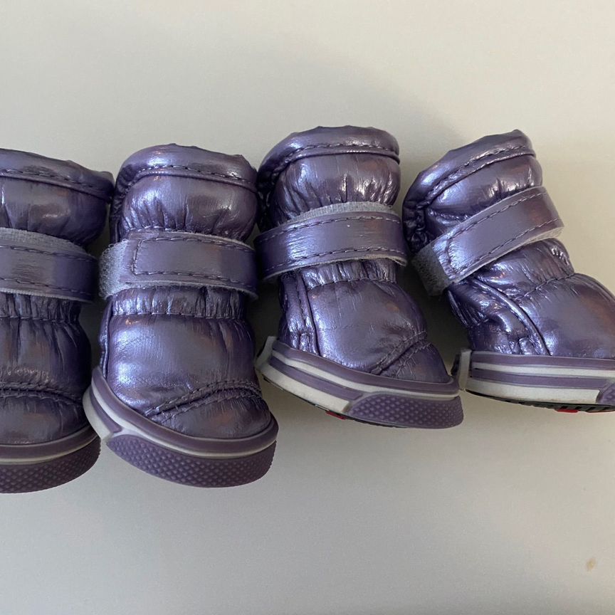 Ботинки для собак petmax